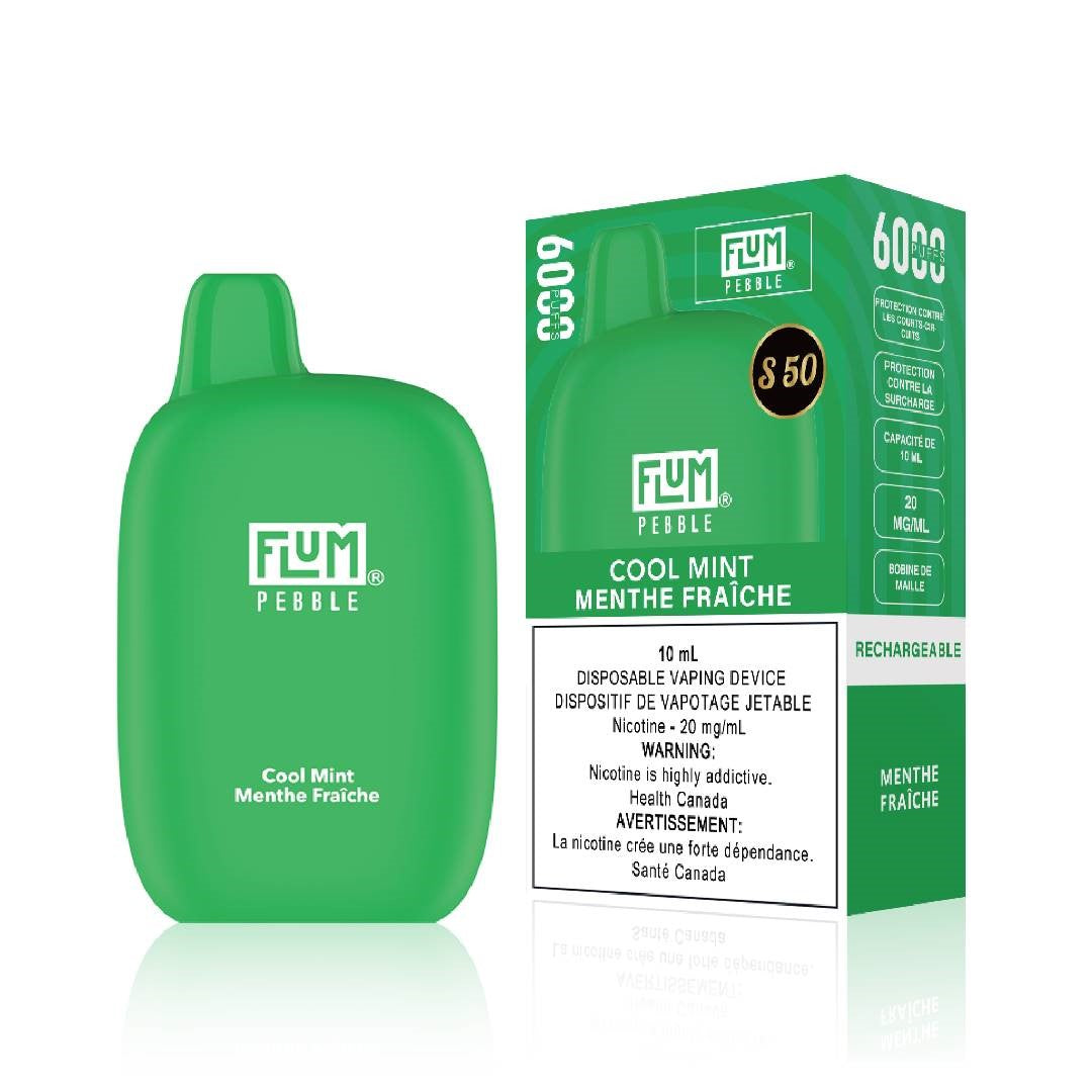 FLUM PEBBLE 6000 SYNTHETIC - COOL MINT – Quality Vapes